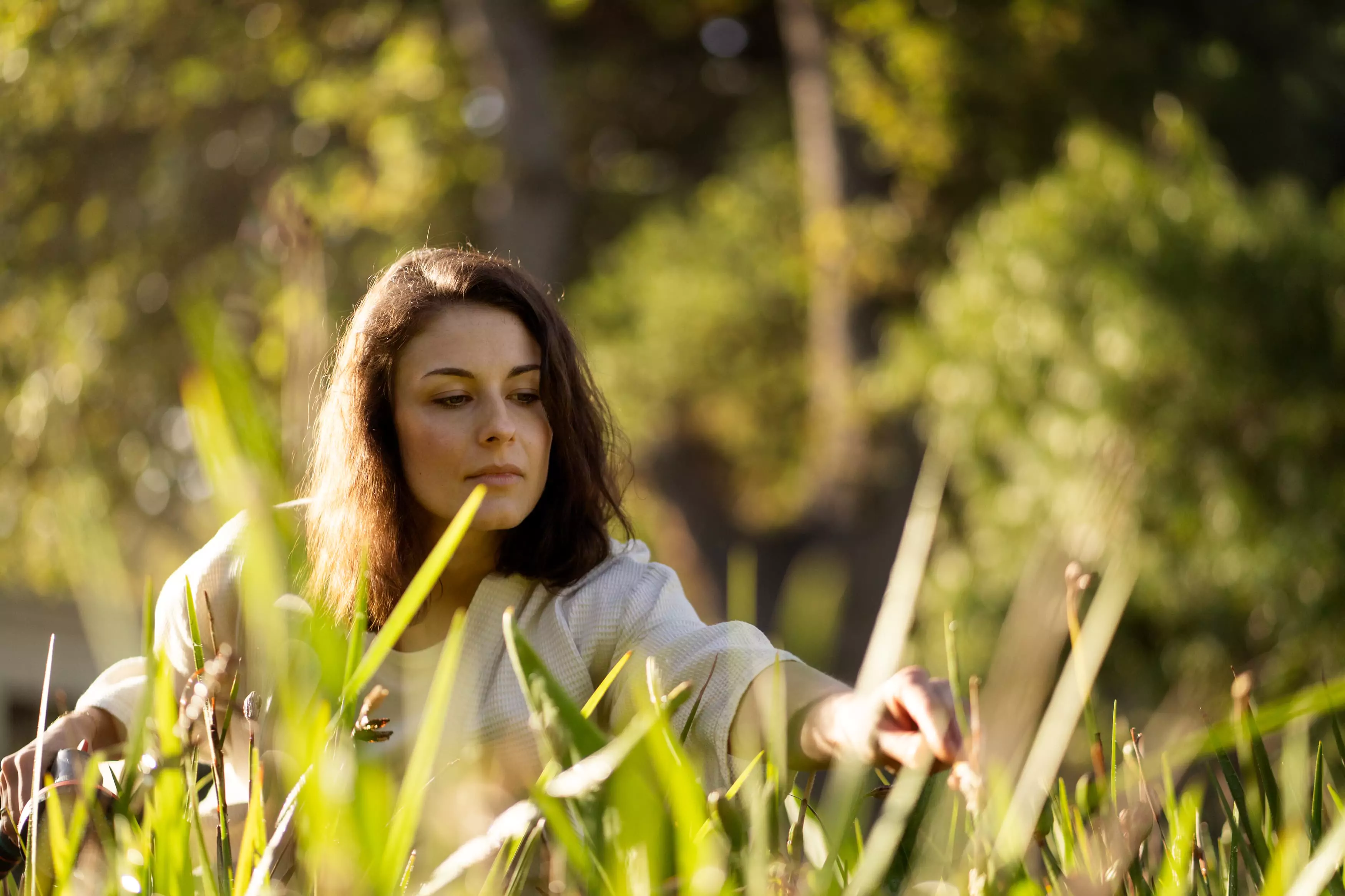 Hvorfor frukttrær er avgjørende for bier, naturen og hagen din